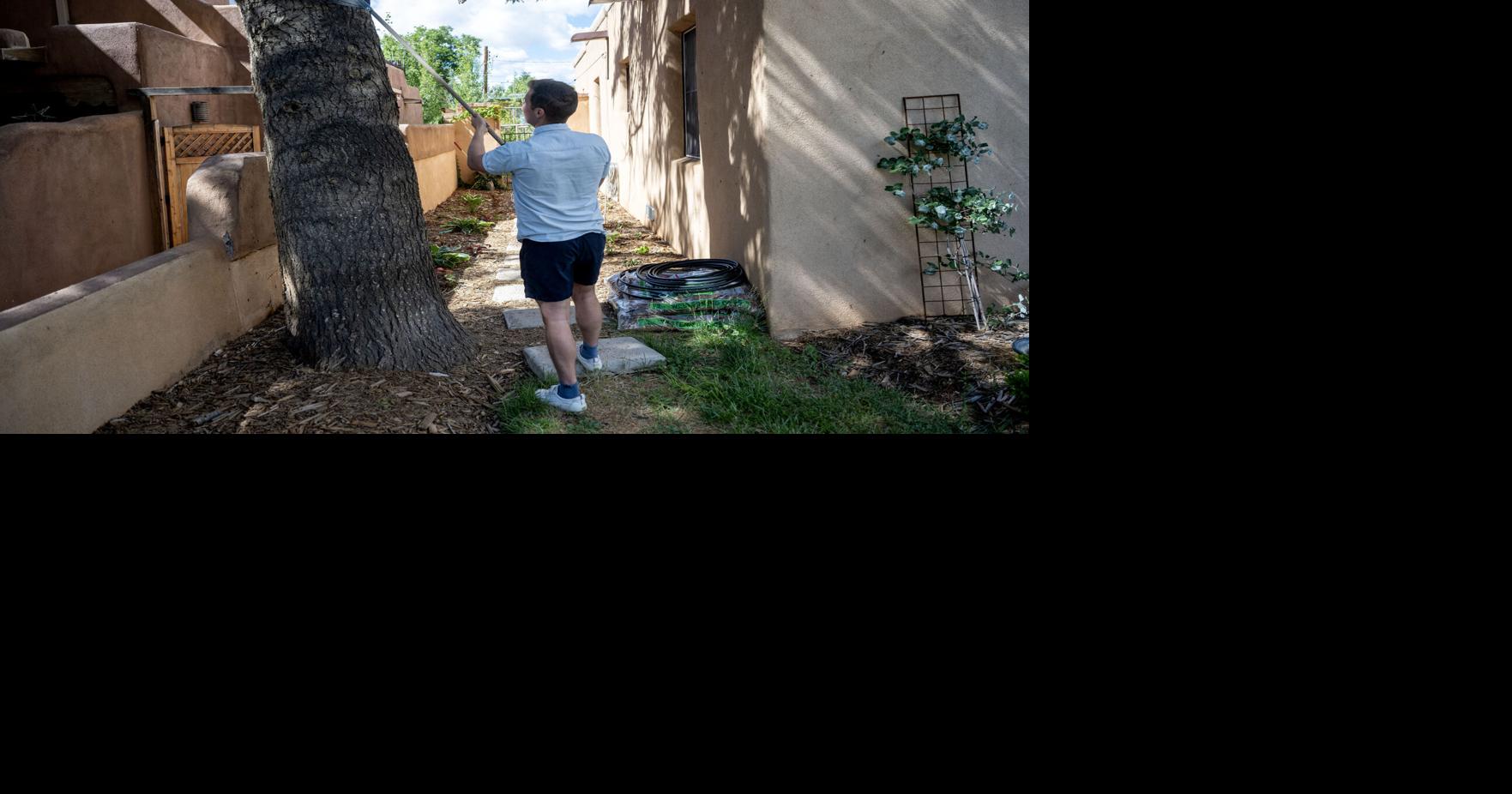 'So many needles falling': Santa Feans grapple with outbreak of ...