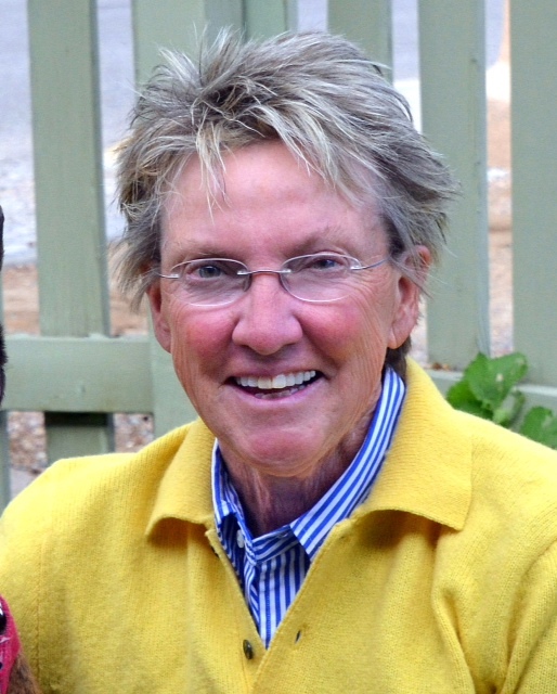 Council rejects ‘divisive’ resolution denouncing Trump | Local News ...