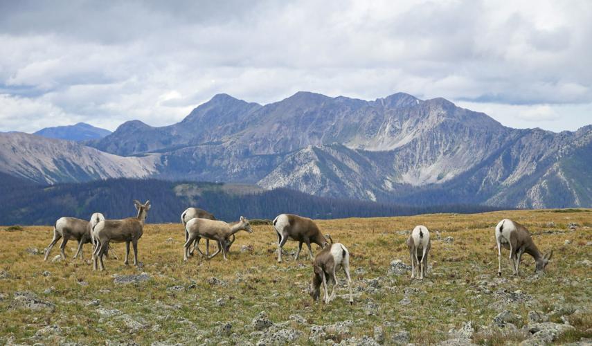 Northern New Mexico hiking recommendations for every season of 2026 ...