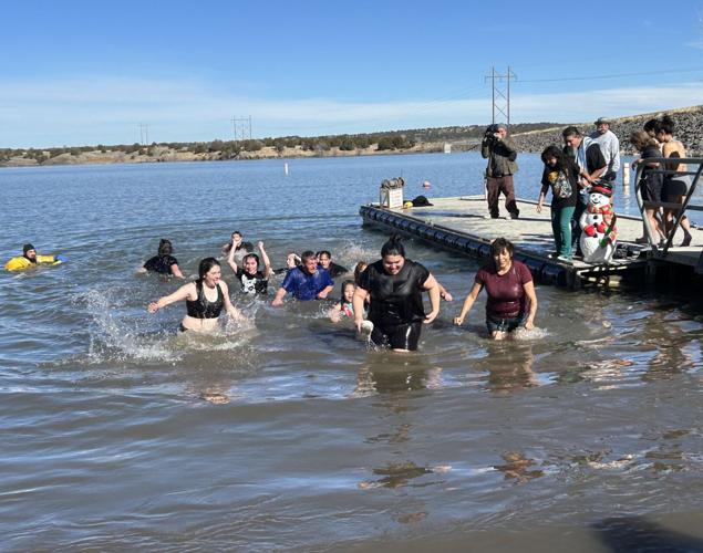 'People expect it': Polar bear plungers ring in new year with dive into ...