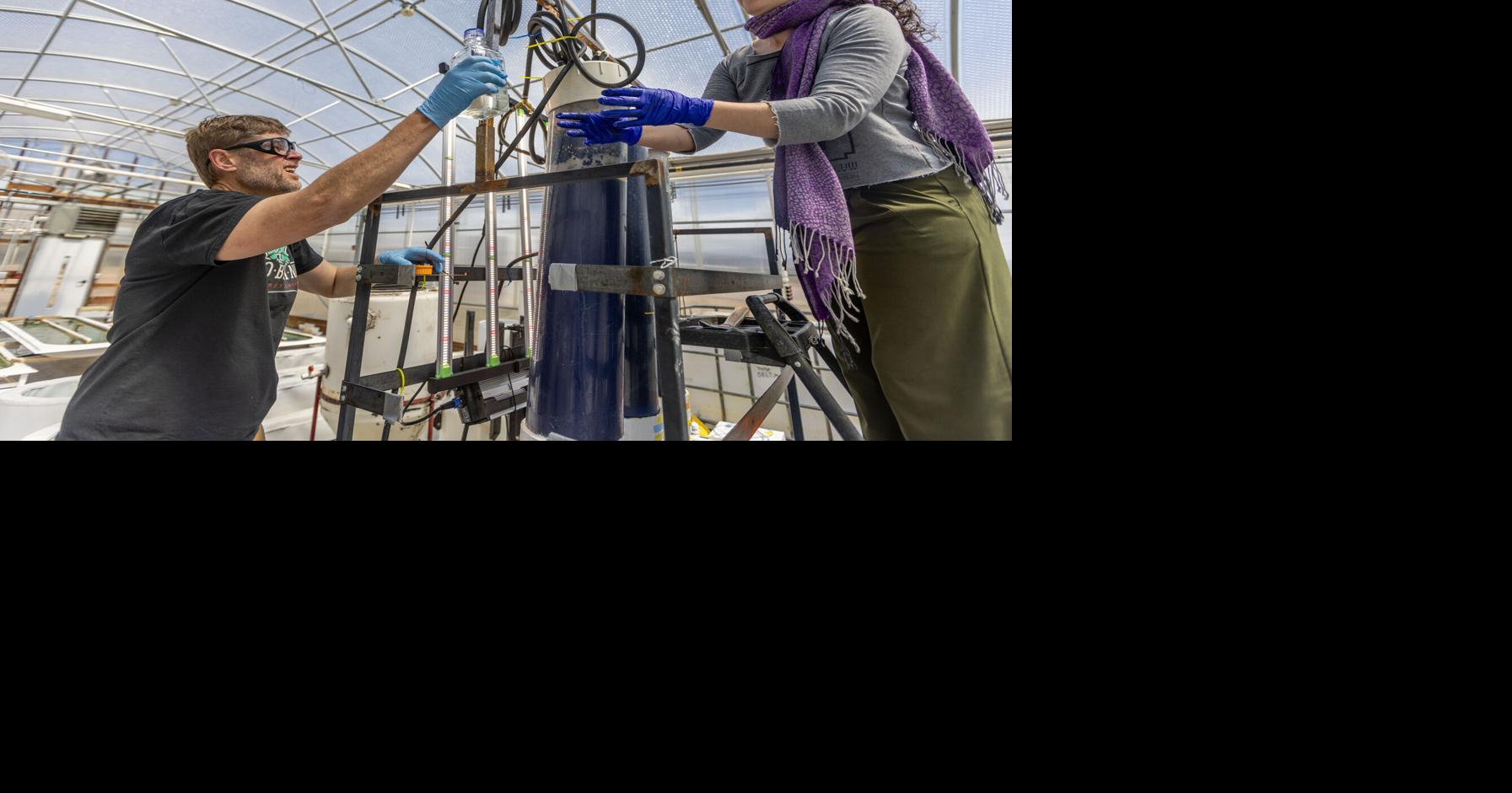 SFCC biofuels team among finalists in nationwide algae competition ...