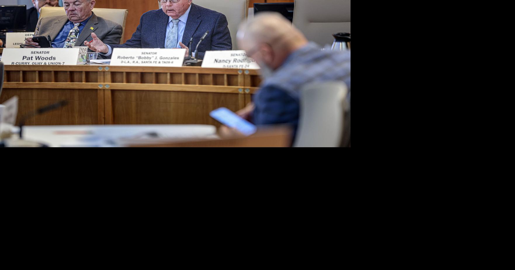 Legislative Finance Committee endorses a dozen bills ahead of session ...