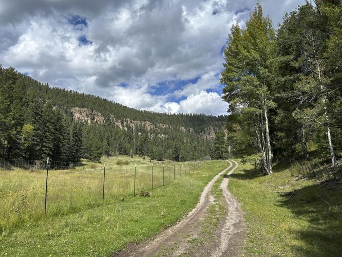 Serene Jemez Mountains hike along Rio Cebolla shows returns of ...