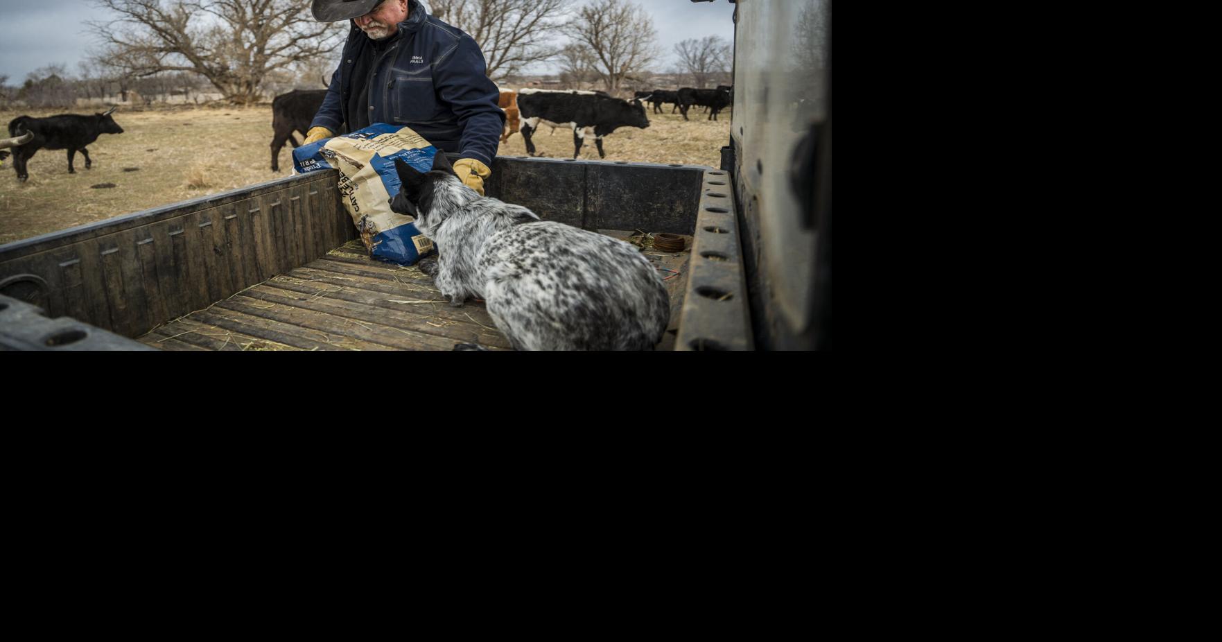 New slaughterhouse to open in Taos in 2024 | Local News ...