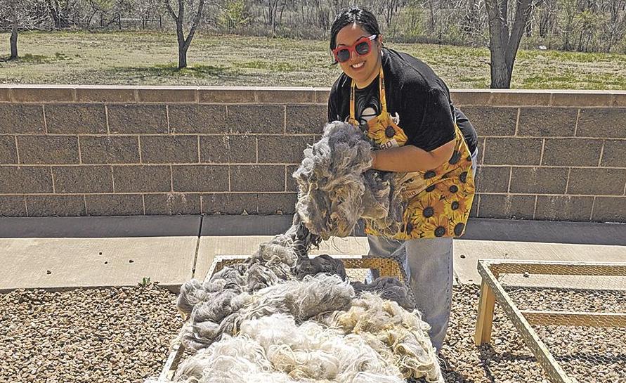Fiber fair features flock stars | Pasatiempo | santafenewmexican.com