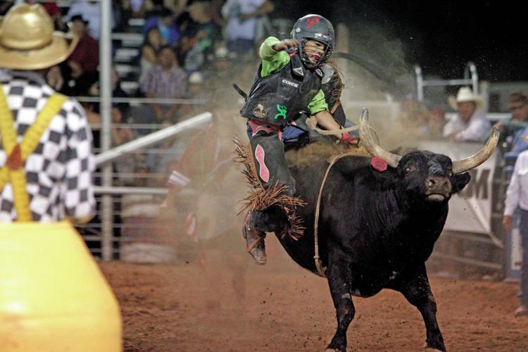 Miniature bull riding draws small riders, bigger crowds [with video ...