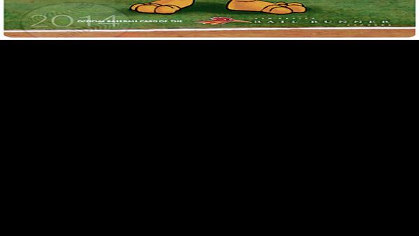 Help name the mascot for the Rail Runner Express | Local News ...