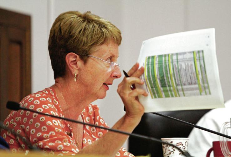 River Trail underpass on hold after City Council shifts funding | Local ...