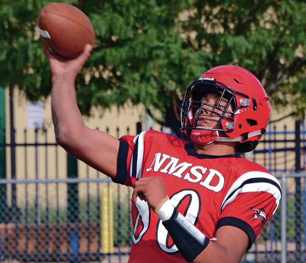 Preview: NMSD Roadrunners hope size can translate to speed | Sports ...