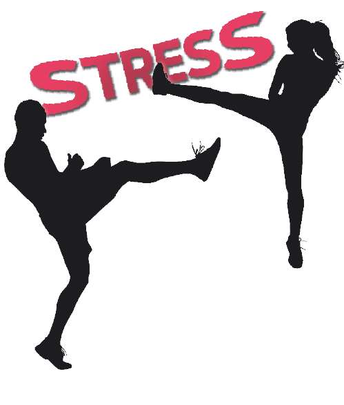 Learn how to kick your stress – Make the Best of Your Teen Years