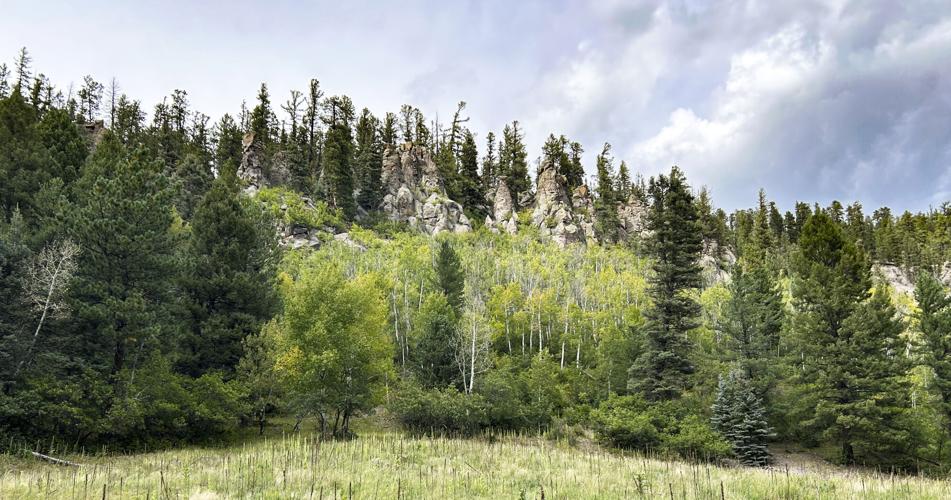 Serene Jemez Mountains hike along Rio Cebolla shows returns of ...