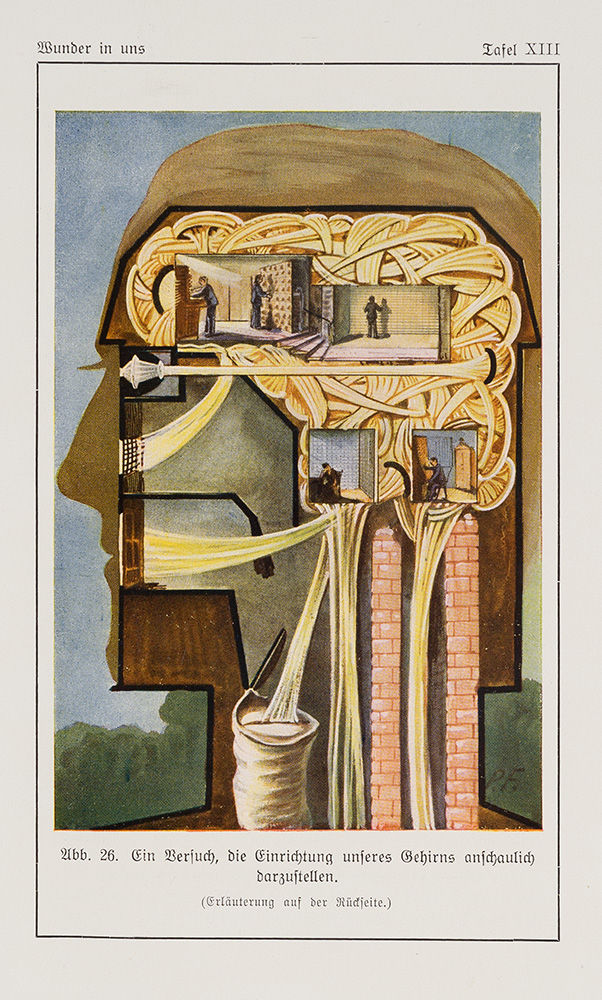 Charting man's modernity: Fritz Kahn's homuncular body | Book Reviews ...