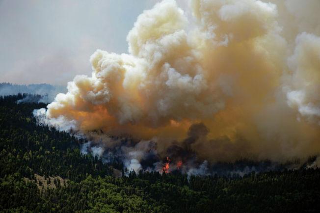 Jemez Mountains fire grows to 7,400 acres; Tres Lagunas Fire 15 percent ...