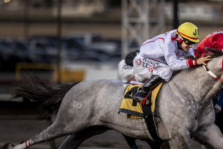 Robertson graduate jockeys to second place finish in debut at ...