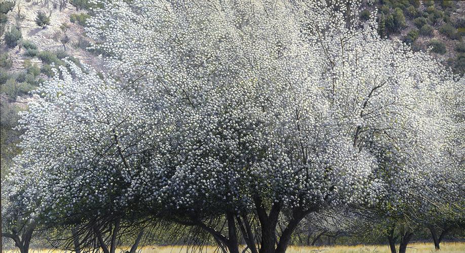 The landscape beckons: Artist Woody Gwyn | Art | santafenewmexican.com