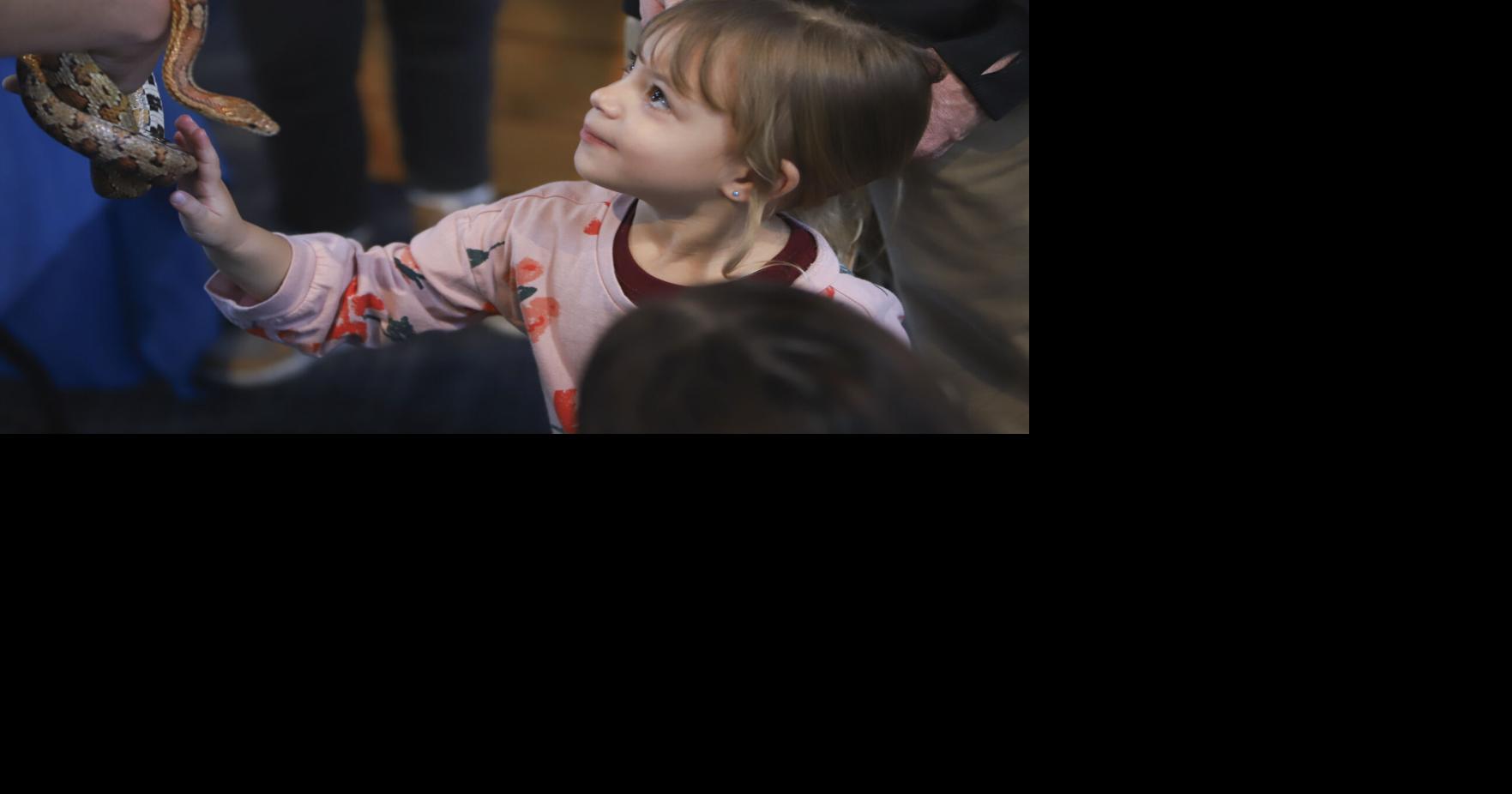 Learning to accept snakes | Local News | santafenewmexican.com