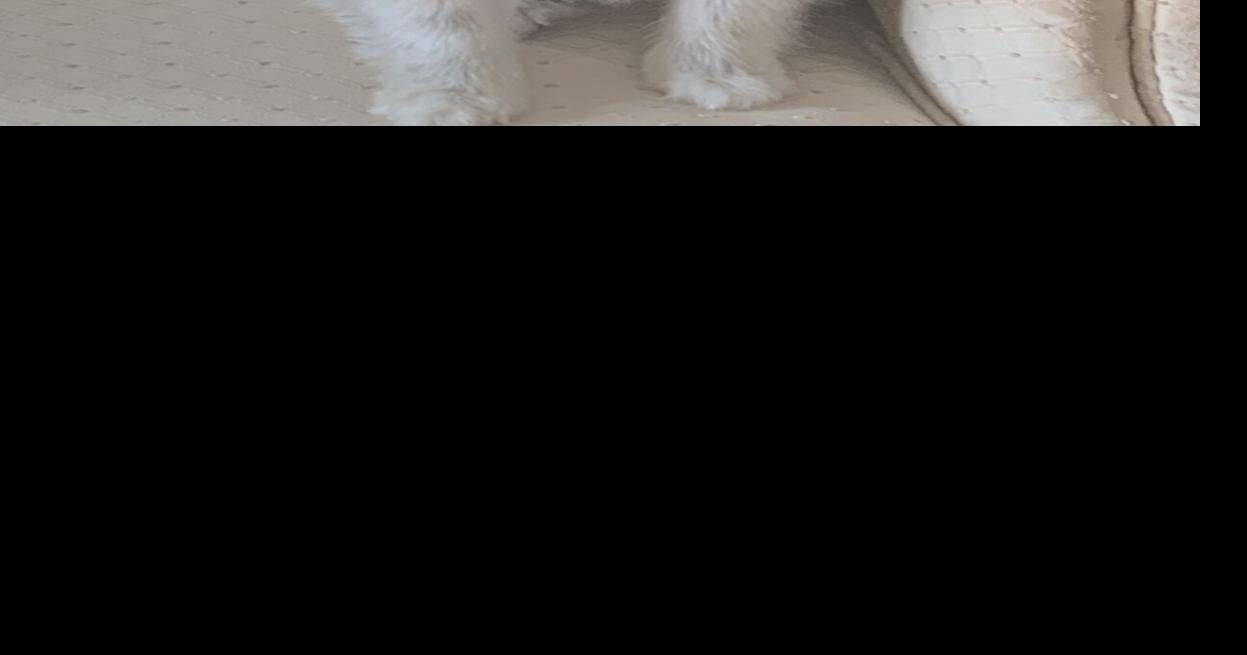 Out and about: Nature lessons | Real Estate | santafenewmexican.com