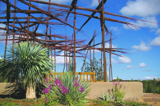 First Flowering: Santa Fe Botanical Garden | Local News ...