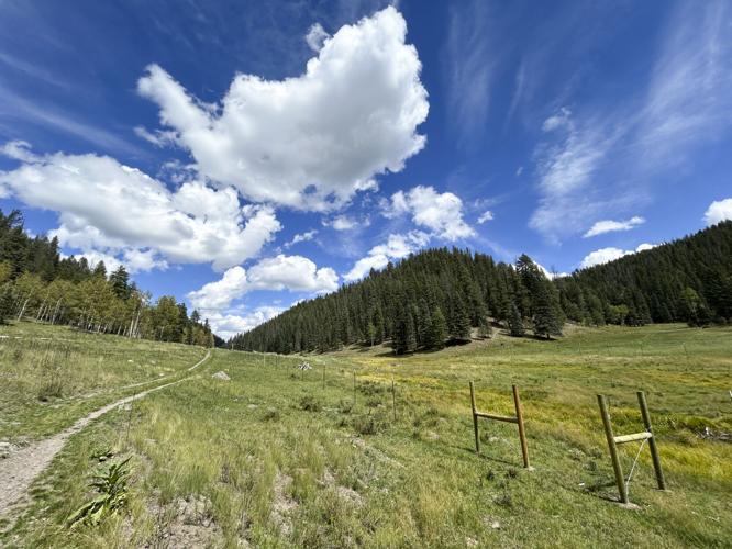 Serene Jemez Mountains hike along Rio Cebolla shows returns of ...