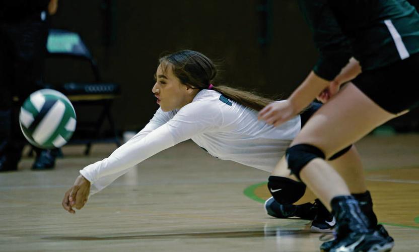 Elkettes make use of old, new in win | Sports | santafenewmexican.com