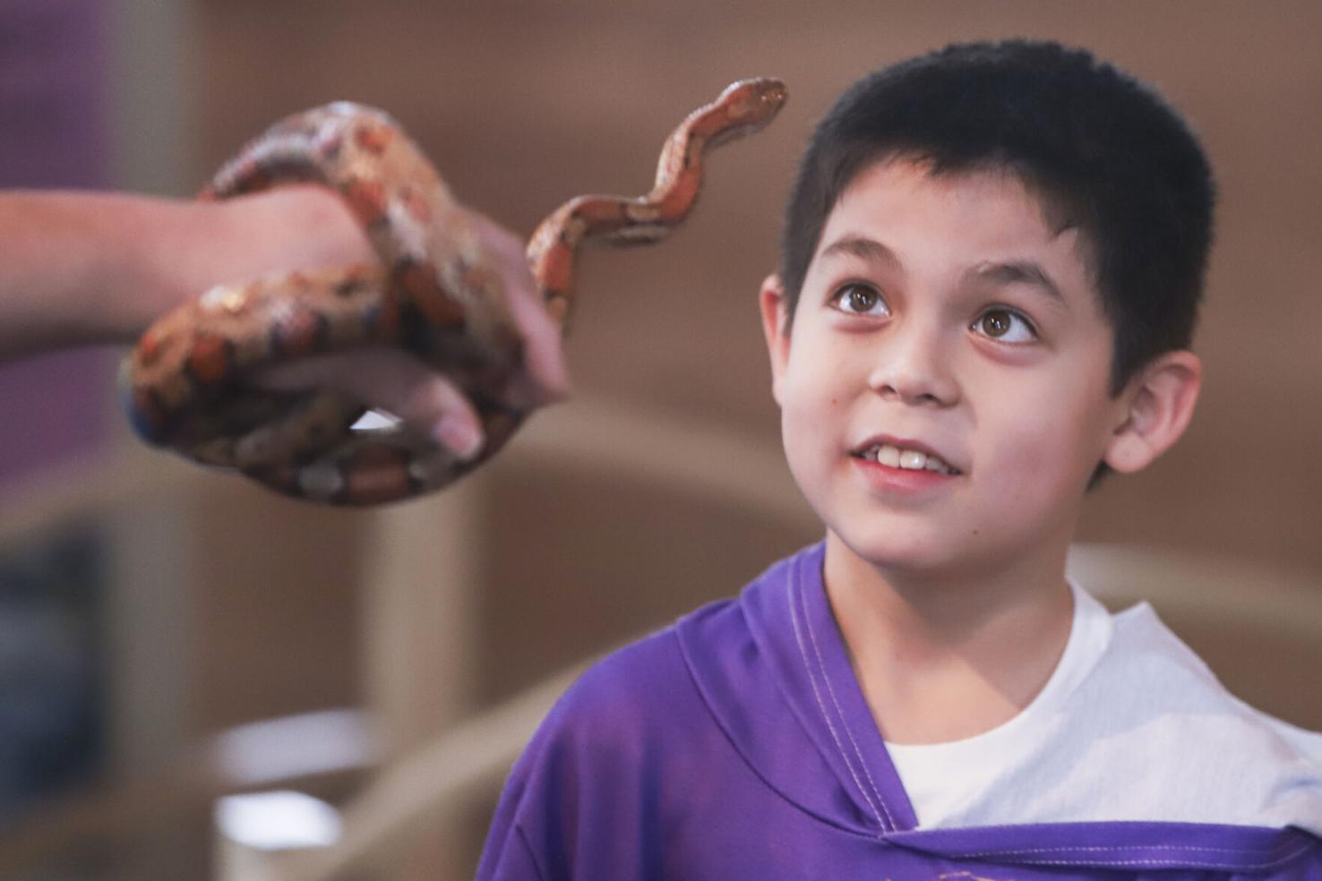 Learning to accept snakes | Local News | santafenewmexican.com