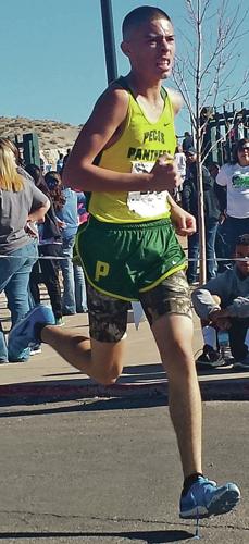 Pecos falls 1 point short of winning title at boys cross-country state ...