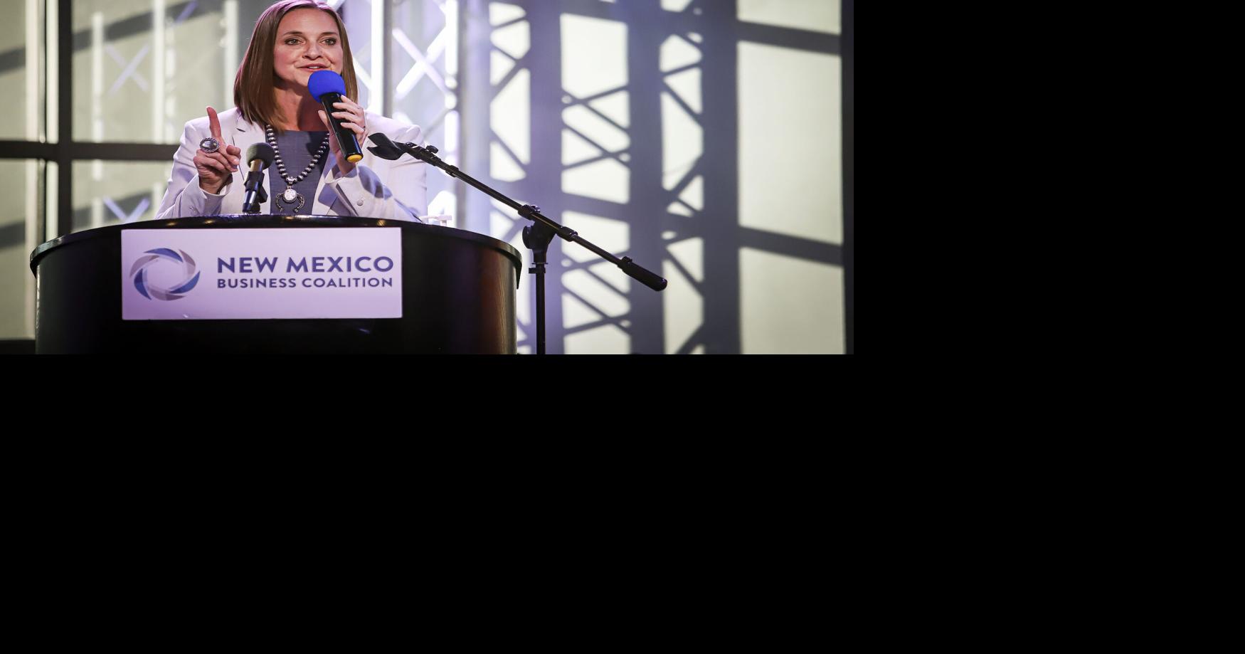 Rebecca Dow vies to reclaim House seat | Legislature | New Mexico ...