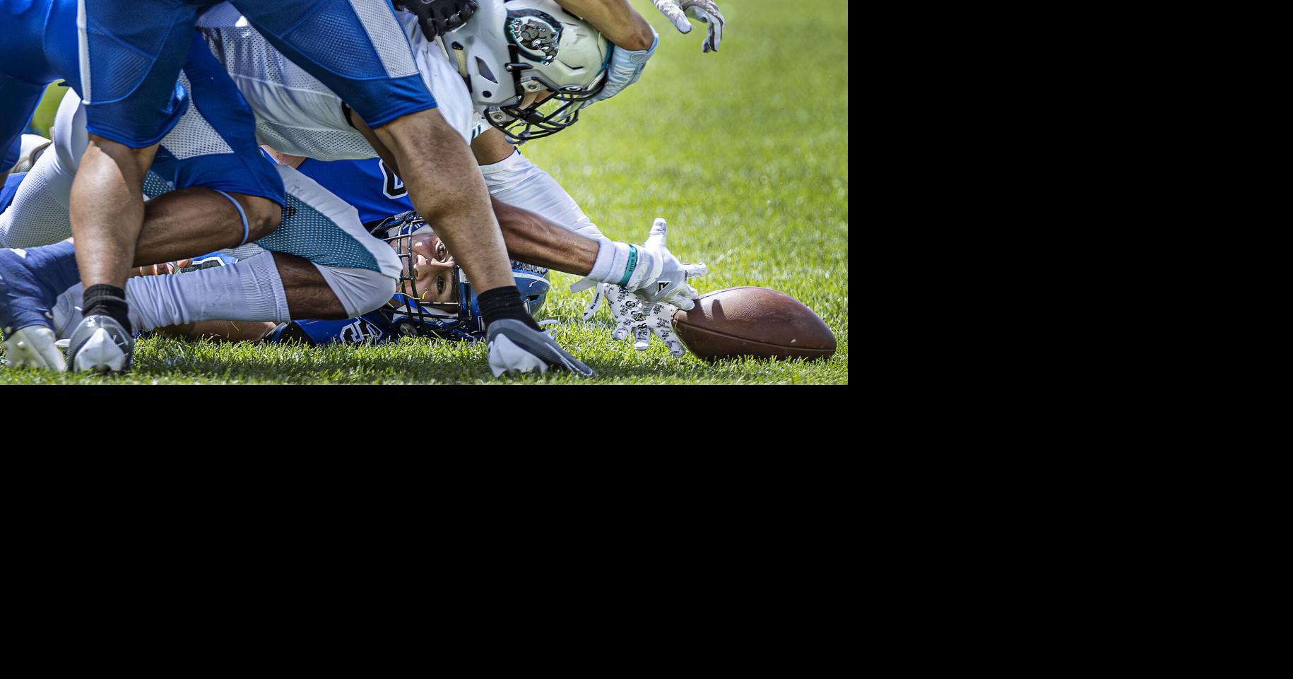 NMAA moves Jaguars to 5A; Demons, Horsemen, Braves stay put | Sports ...