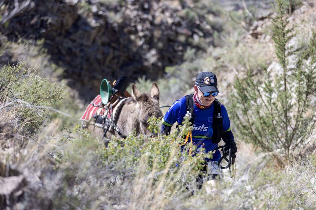 Strong-willed racers: Burro trek celebrates animal's deep ties in ...