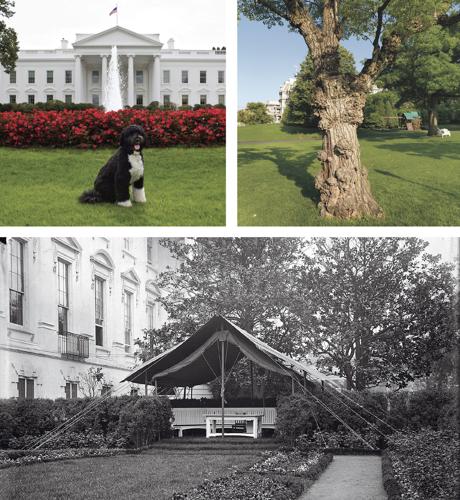 All the president's guests: Two new books explore White House culture ...