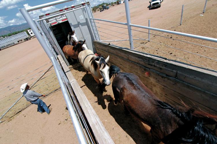 Rodeo de Santa Fe prepares for 64th annual event | Local News ...