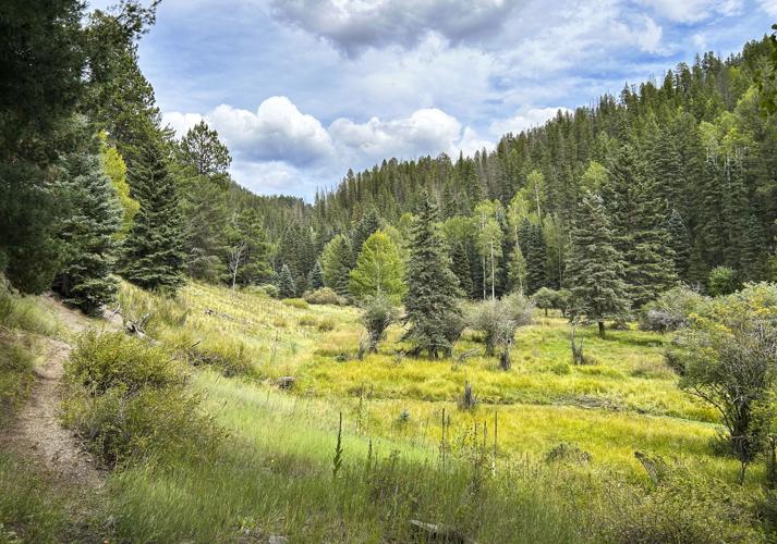 Serene Jemez Mountains hike along Rio Cebolla shows returns of ...