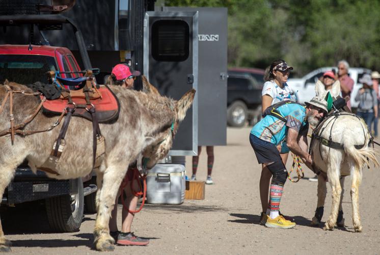 Gallery: Turquoise Trail Pack Burro Race in Cerrillos ...