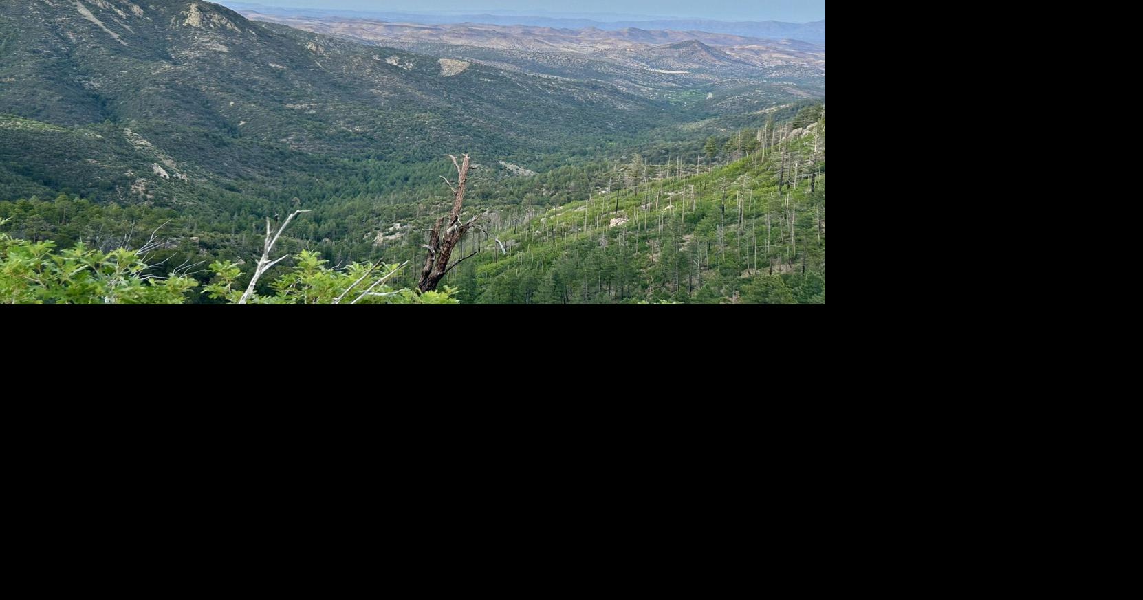 Gila Wilderness turns 100: A trailblazer by remaining unchanged | Local ...