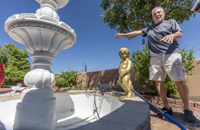 Cottonwood tree has neighbor frustrated by fluff | Local News ...