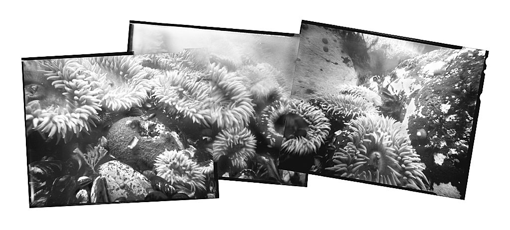 Perceptions through a pinhole: Artist Donald Lawrence | Art ...