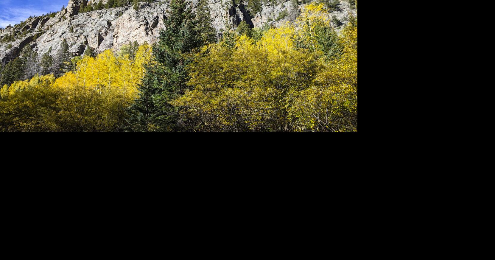 Northern New Mexico trails expert shares some of his favorite fall ...