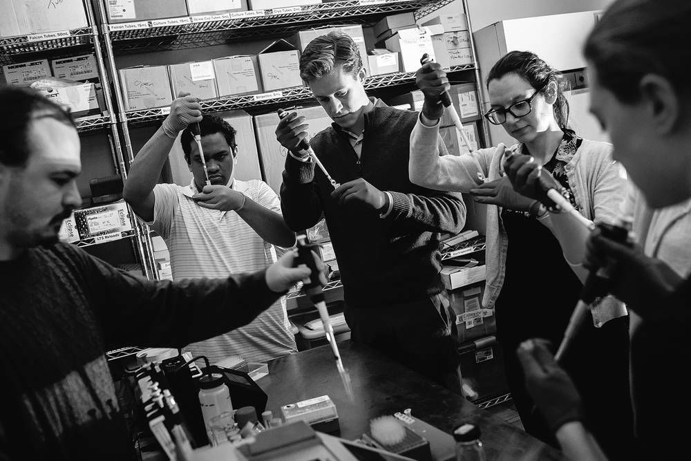 DIY gene editing gains popularity | News | santafenewmexican.com