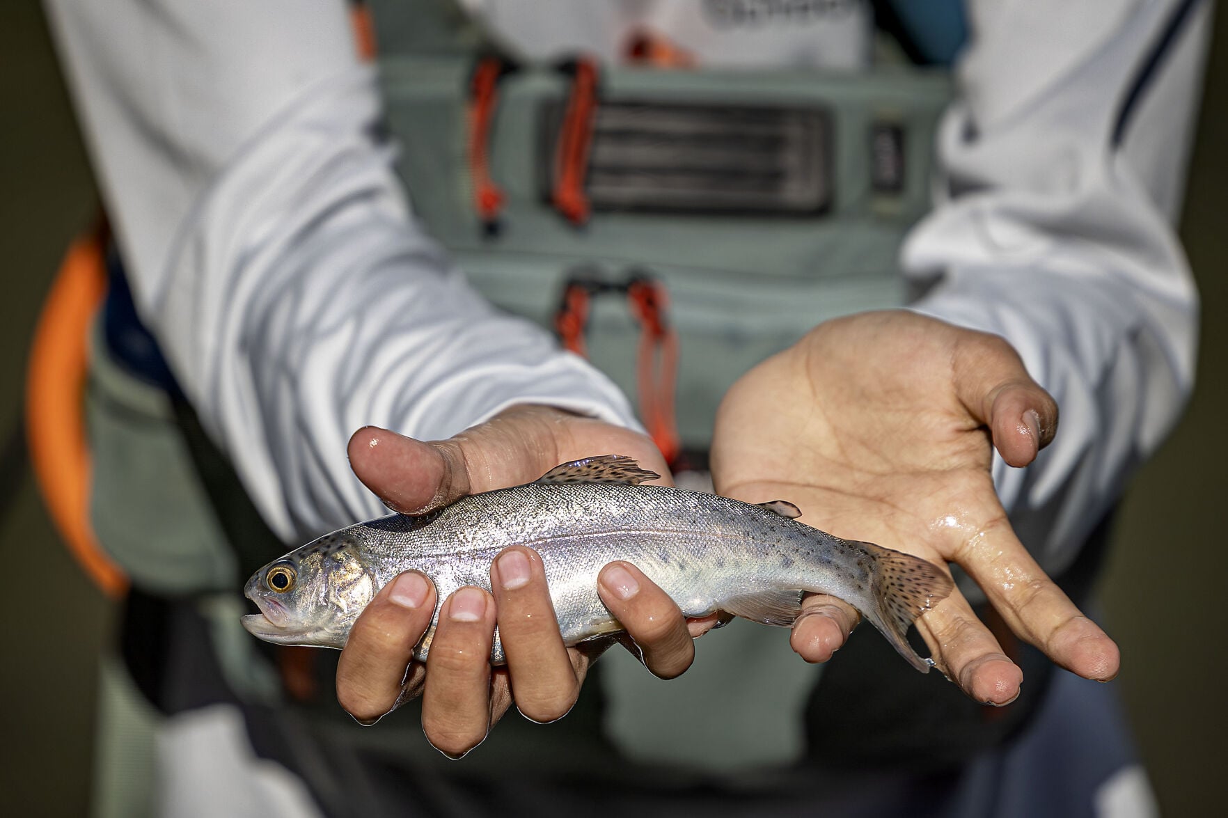 Santa Clara man hopes fly fishing camps get Hispanic and tribal youth ...