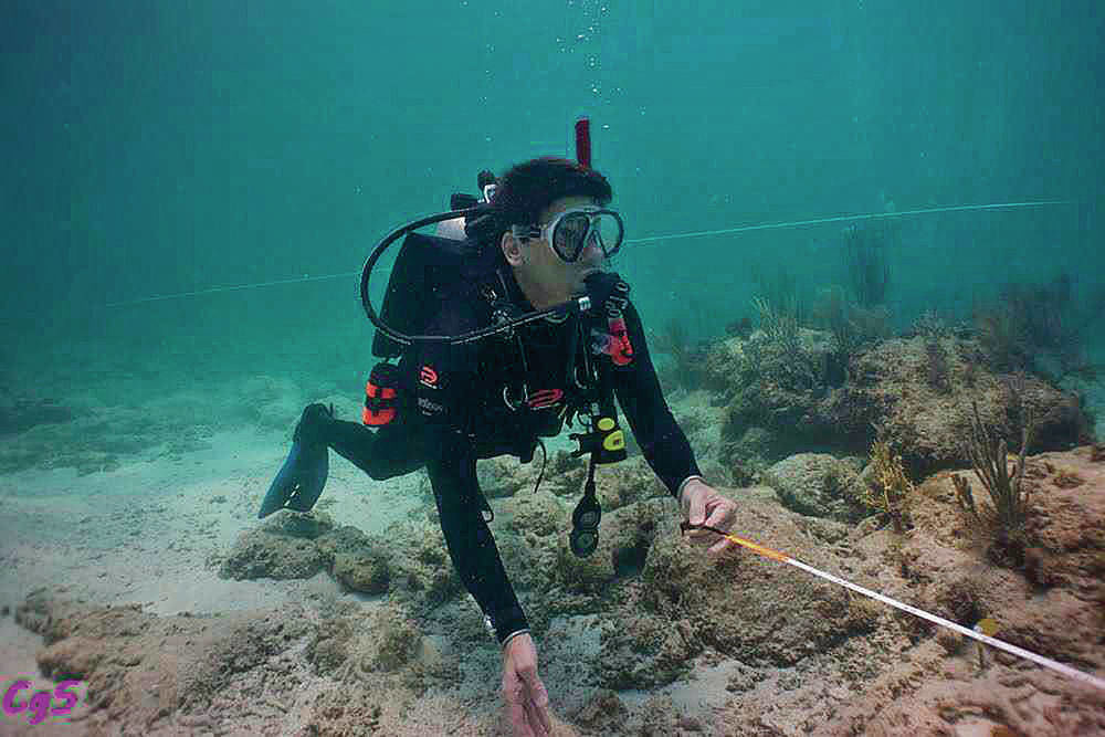 From Santa Fe’s desert to deep sea discovery | Local News ...