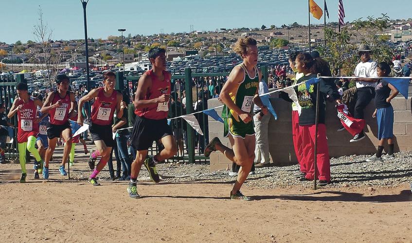 Pecos falls 1 point short of winning title at boys cross-country state ...