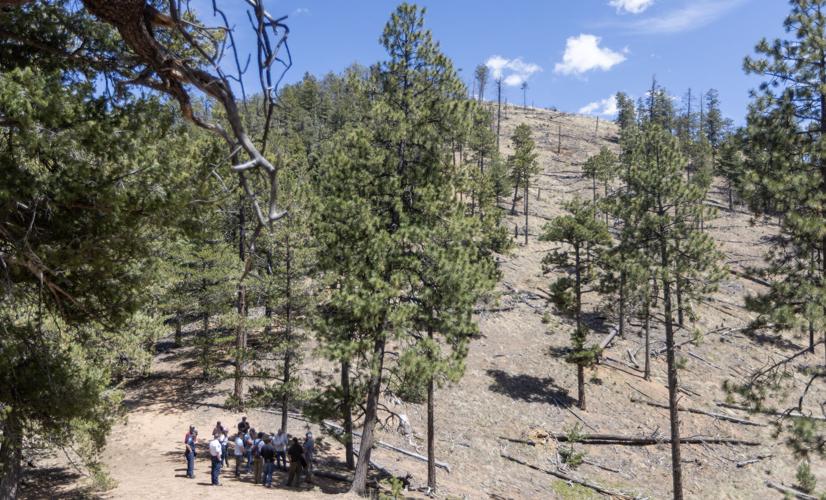 Advocates insist planned burns good for Santa Fe National Forest ...