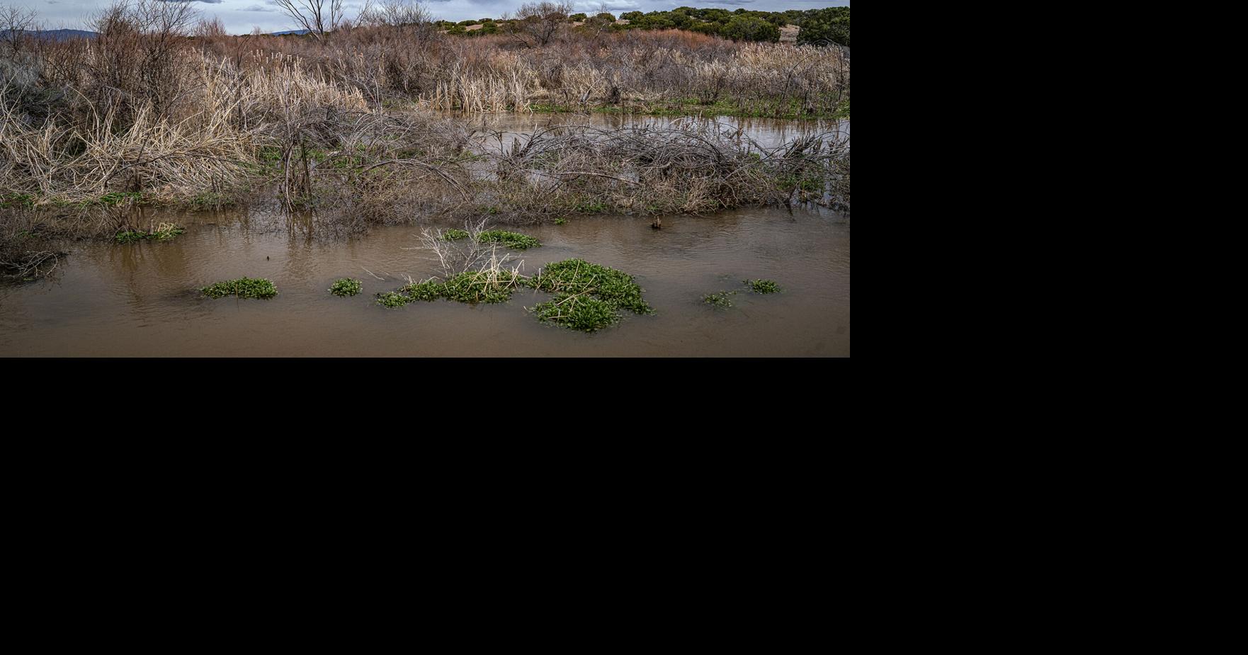 'Crazy warm': New year, same above-normal temperatures coming to New ...