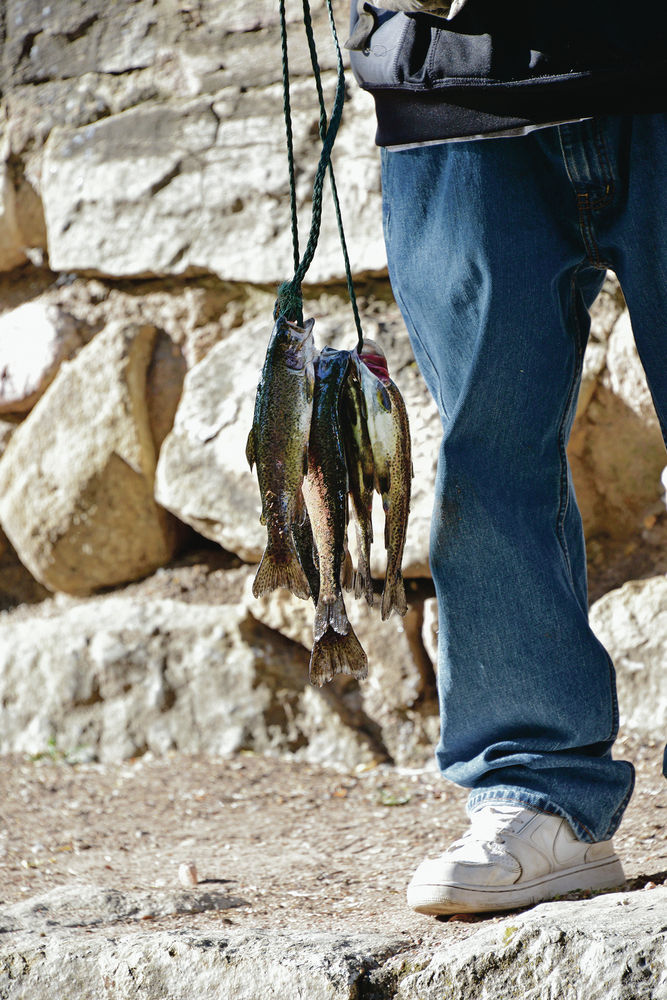 Unlimited fishing OK’d on stretch of Santa Fe River | Local News ...