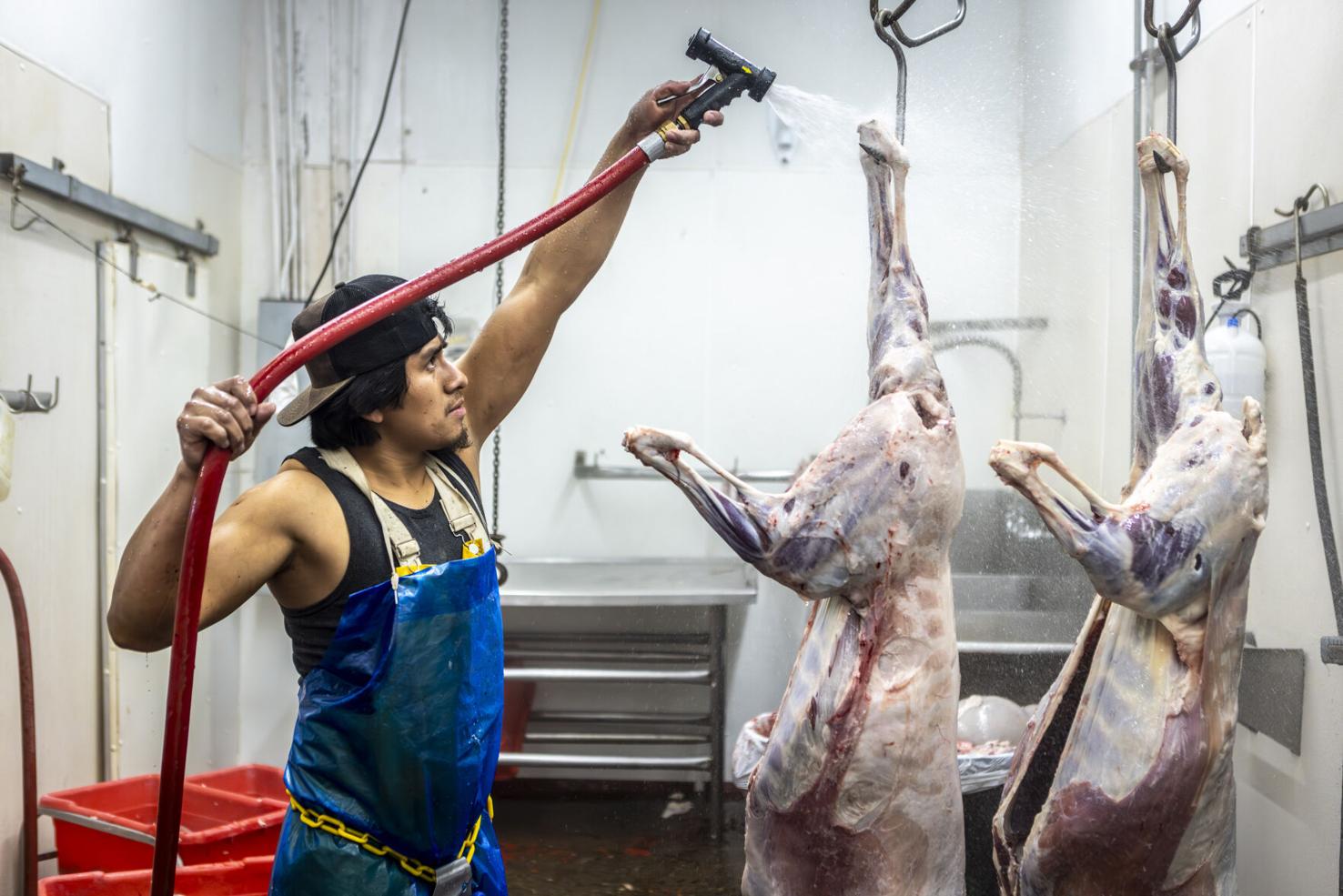 New Mexico meat processors face challenges; state seeks solutions ...