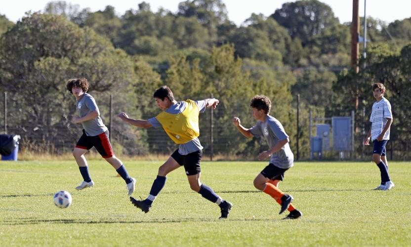 Blue Griffins' stiffened defense may be key to state title hopes ...