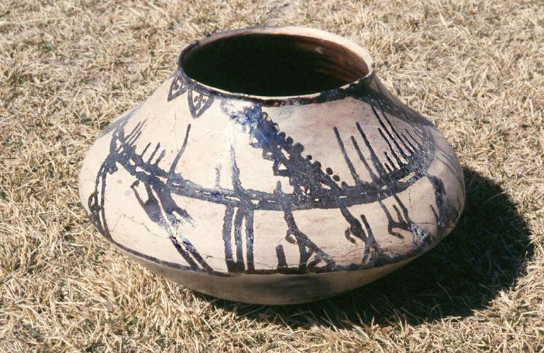 Survival of the fittest: Lecture by James L. Moore | Books ...