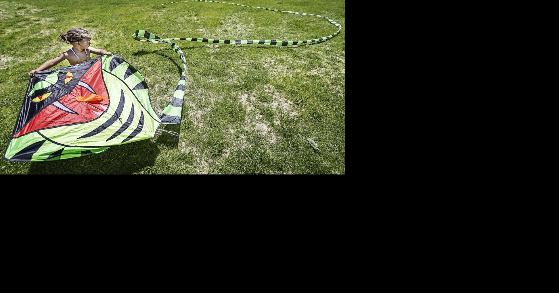 Pulling a few kite strings | Local News | santafenewmexican.com