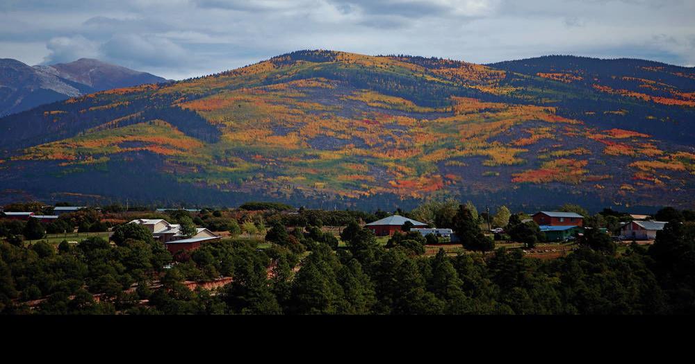 New Mexico’s fall colors come shining through | Local News ...