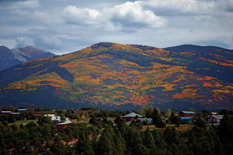 New Mexico’s fall colors come shining through | Local News ...